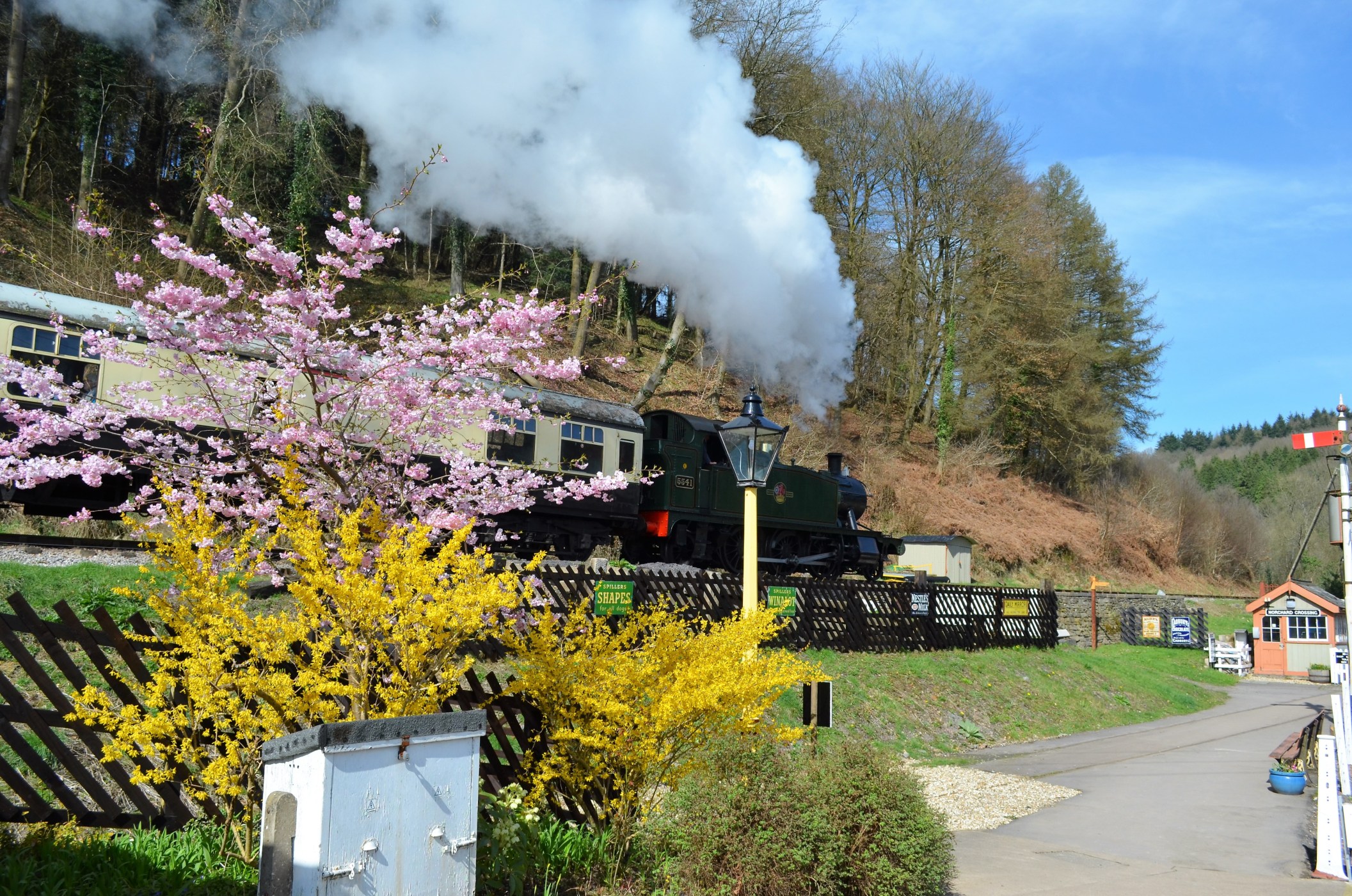 Steam Railway Experiences | Dean Forest Railway
